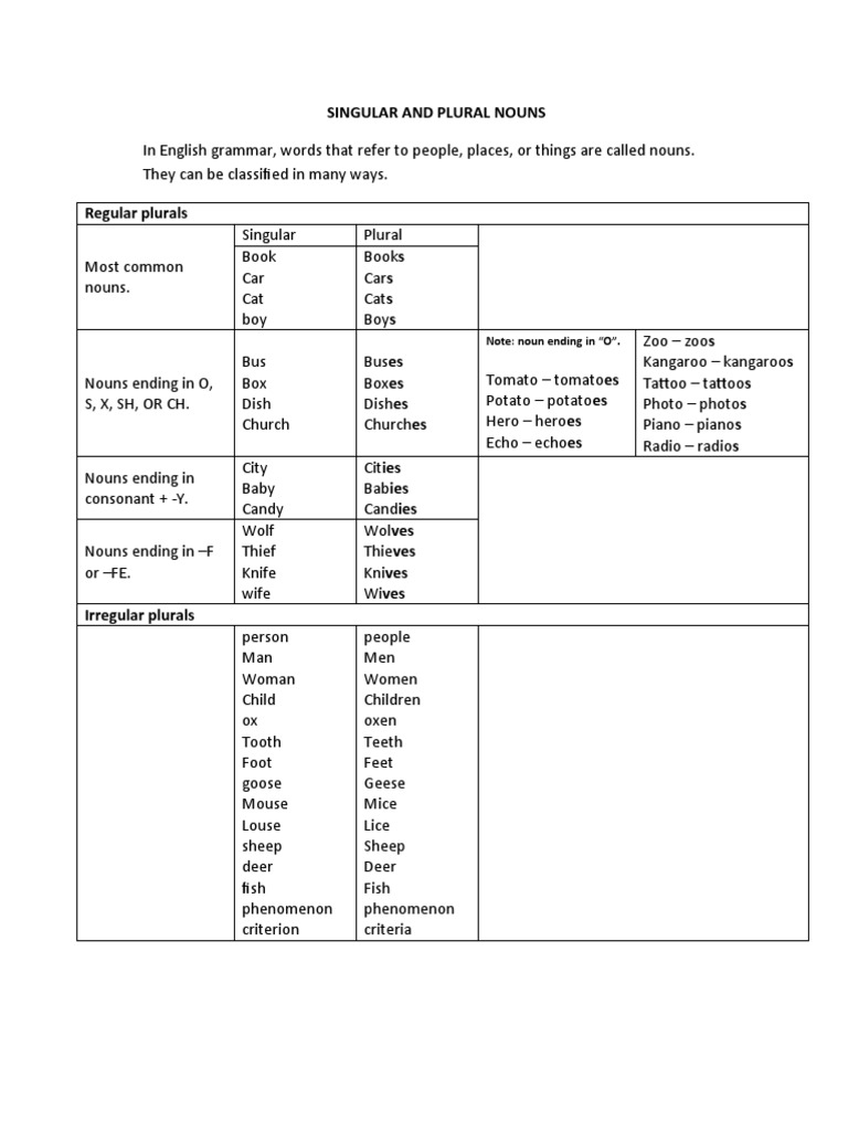 Singular and Plural Nouns | PDF | Plural | Grammatical Number