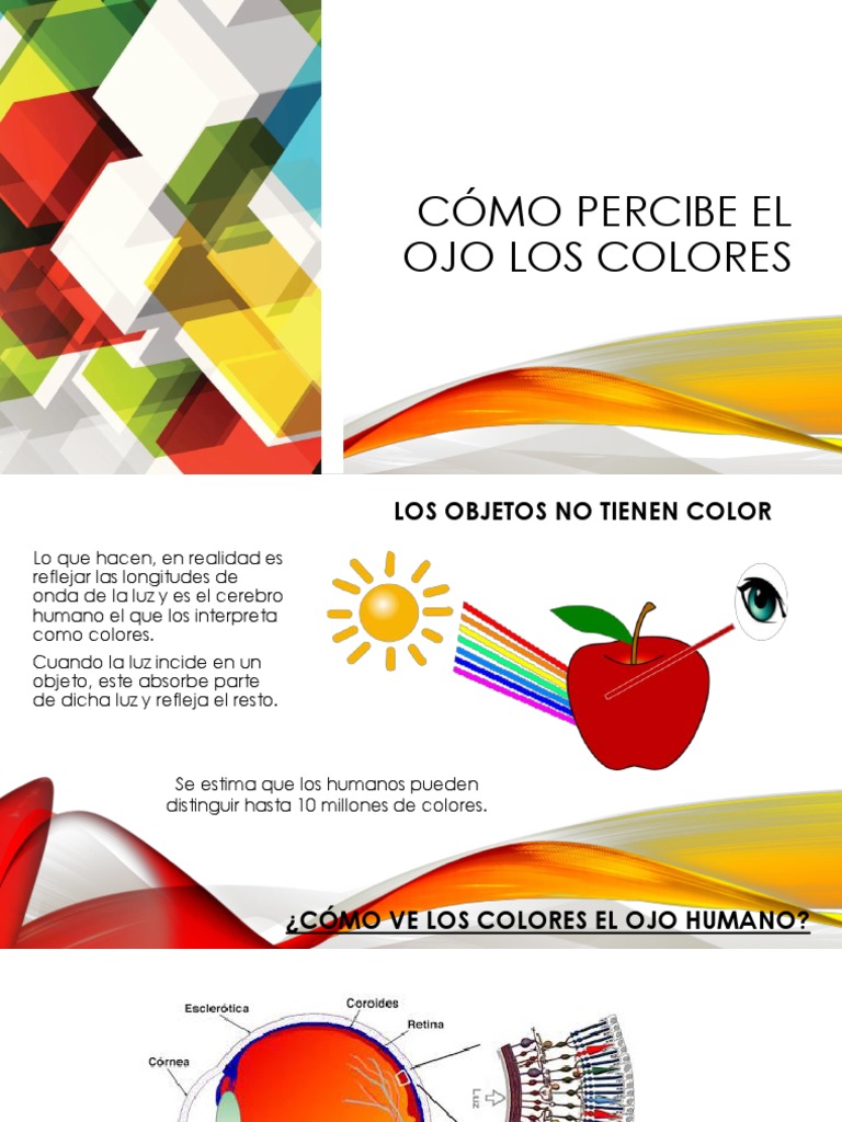 09 CÓMO PERCIBE EL OJO LOS COLORES | PDF | Color | Matiz