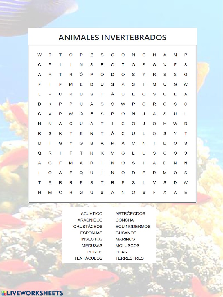 SOPA DE LETRAS ANIMALES INVERTEBRADOS | PDF