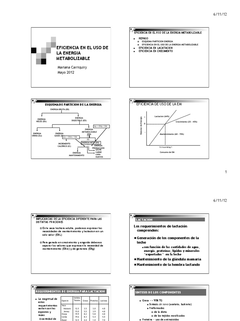 Eficiencia-Lact y Crec | PDF | Leche | Tejido adiposo