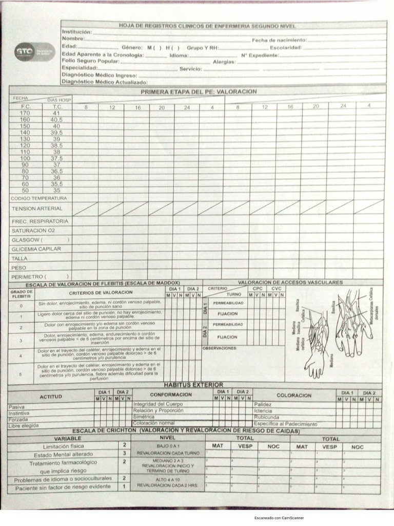 Hoja de Enfermería | PDF