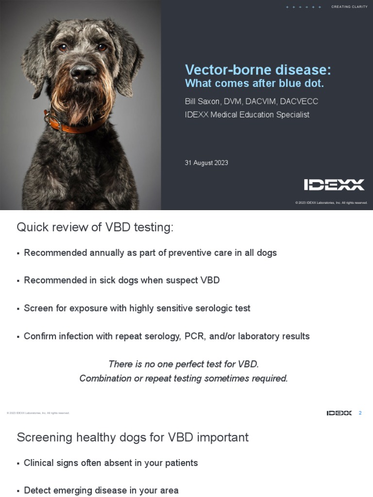 IDEXX Webinar - Dr. Bill Saxon 31-08-2023 | PDF | Serology | Infection
