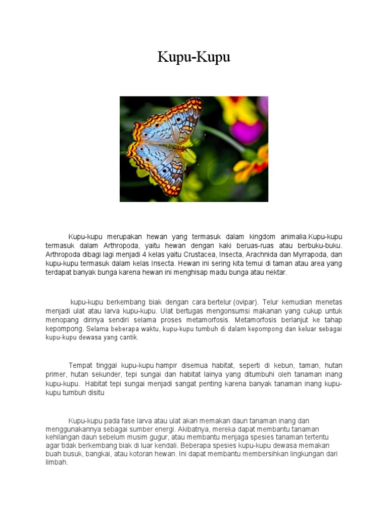 Kupu | PDF | Sains & Matematika