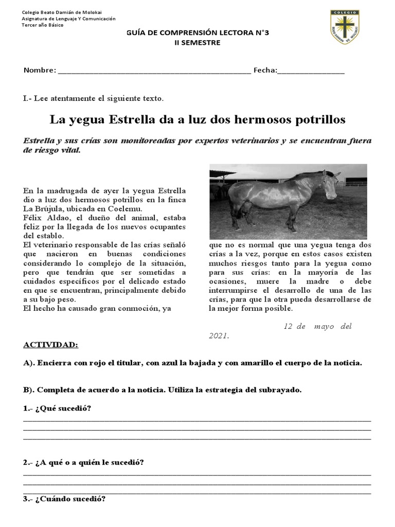 Comprensión Lectora N° 3 II Semestre | PDF