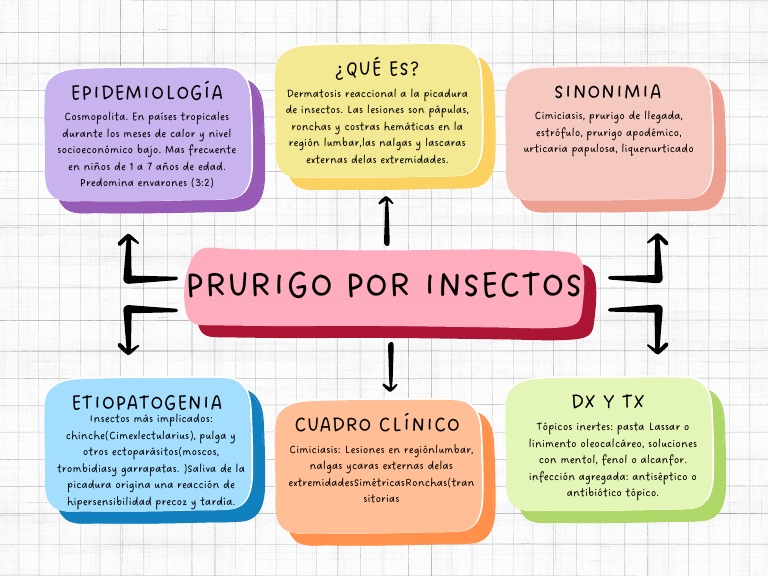 Prúrigo Por Insectos | PDF