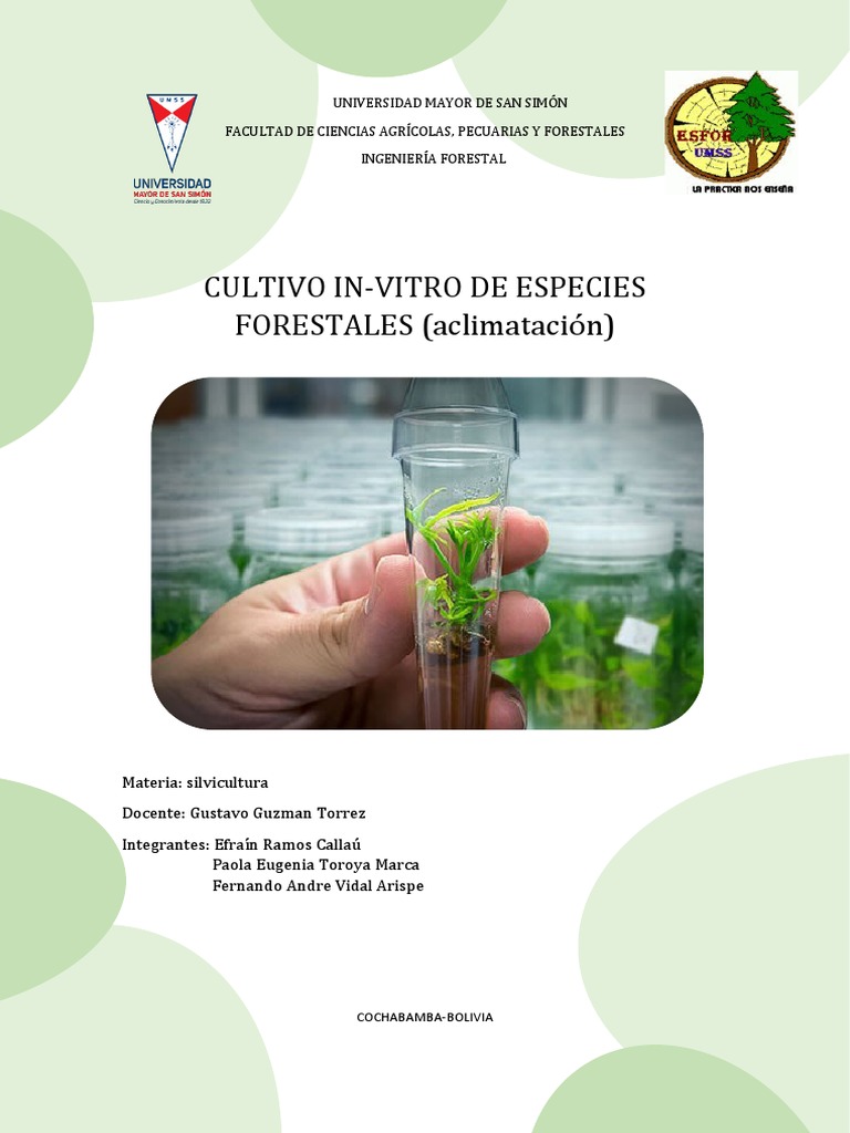Cultivo in Vitrio | PDF