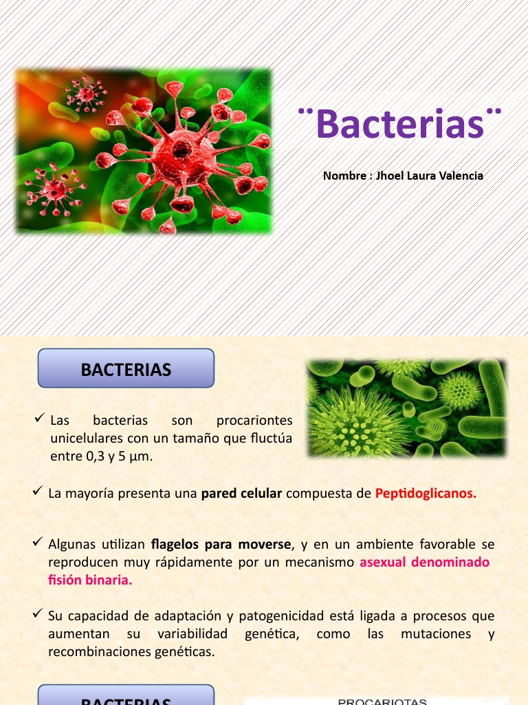 Bacterias | PDF