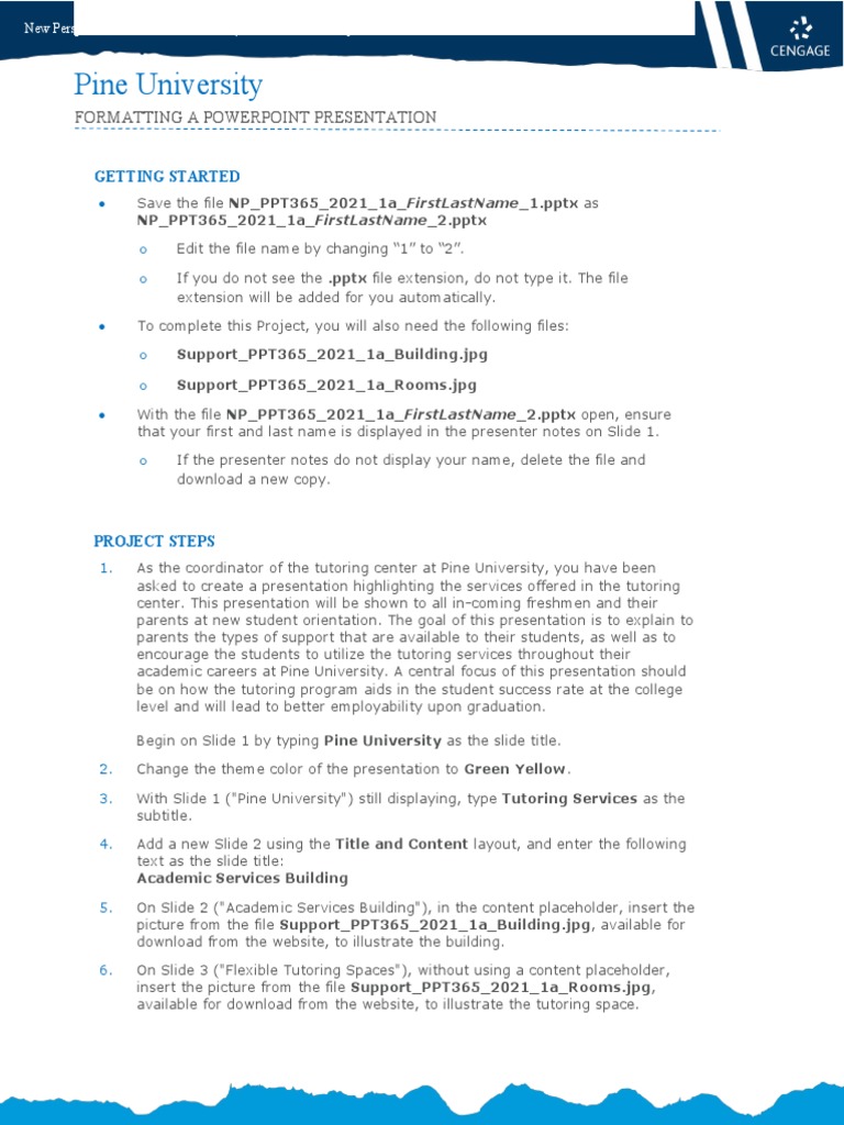 Instructions NP PPT365 2021 1a | PDF