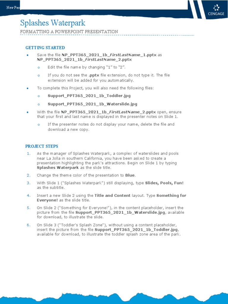 Instructions NP PPT365 2021 1b | PDF