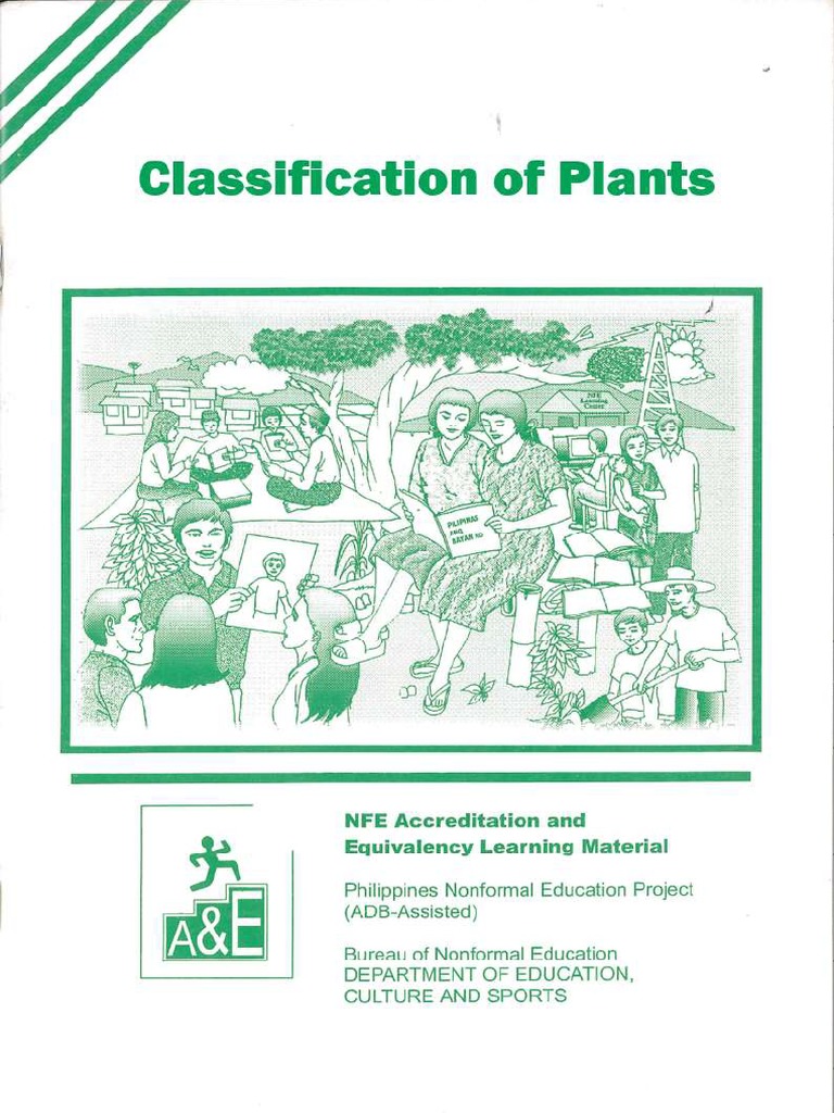 Classification of Plants | Download Free PDF | Flowers | Pollination