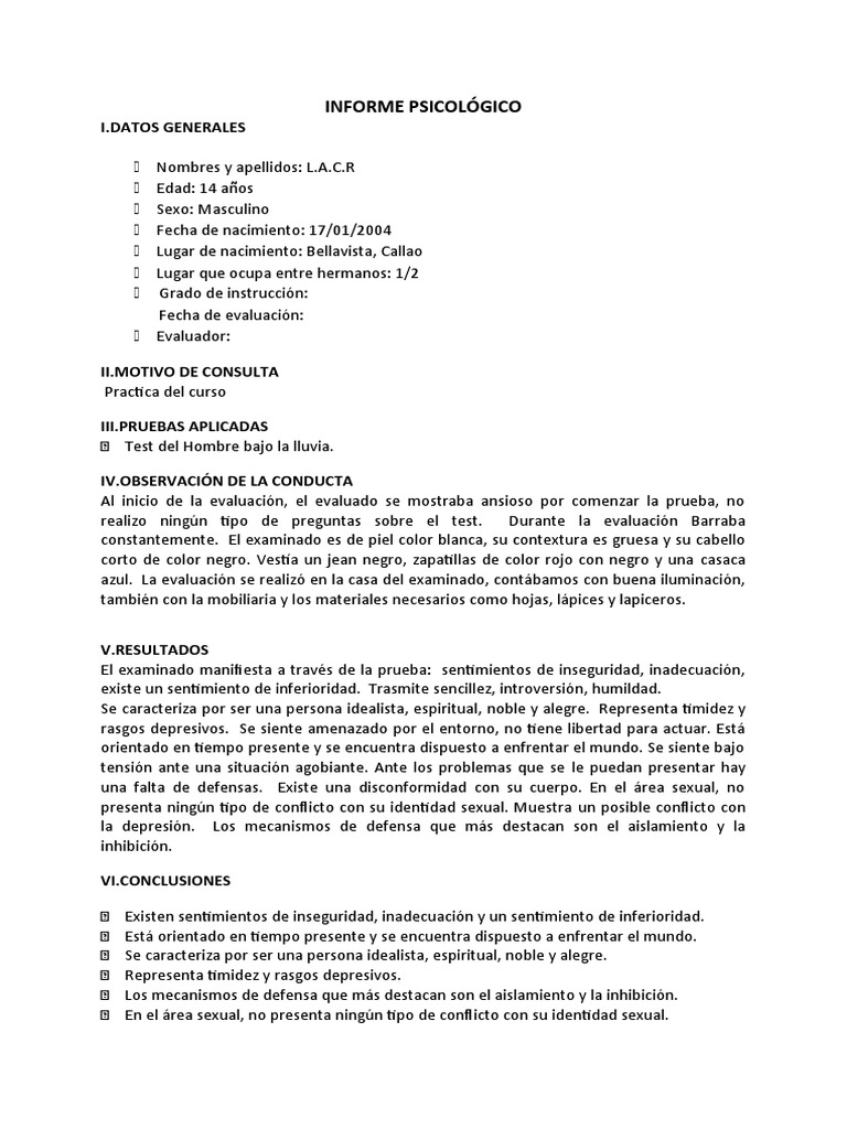 Modelo de Informe de Prueba | PDF