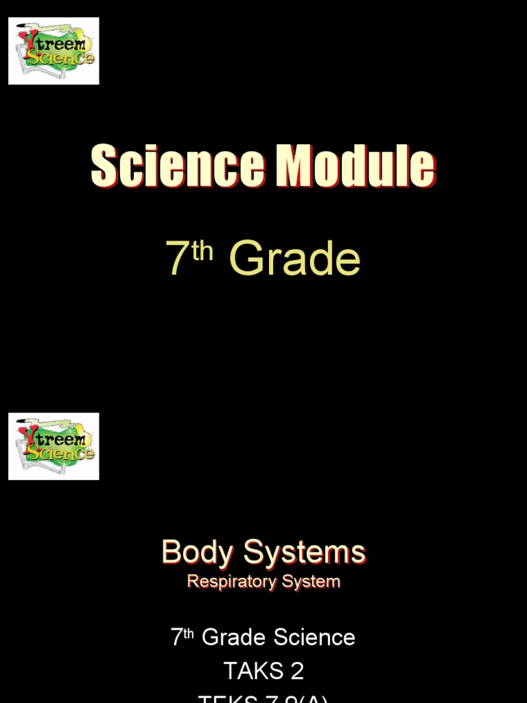 Grade 9 Respiratory System | PDF | Respiratory System | Lung