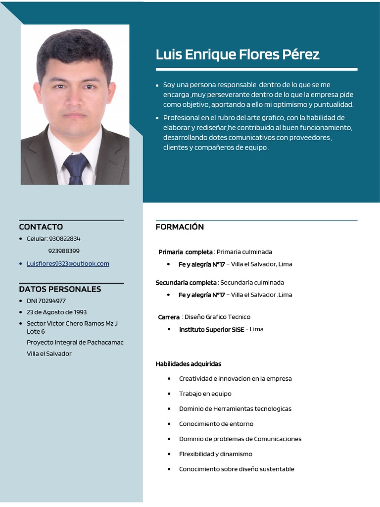 CV luis Enrique flores Pérez | PDF