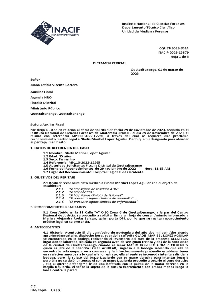 Peritaje Del Inacif Corregido | PDF | Cuidado de la salud | Anatomía