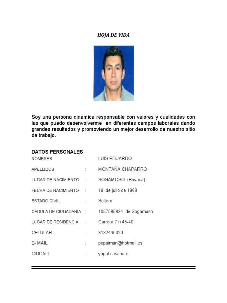 Hoja de Vida de Luis Eduardo Montaña | PDF