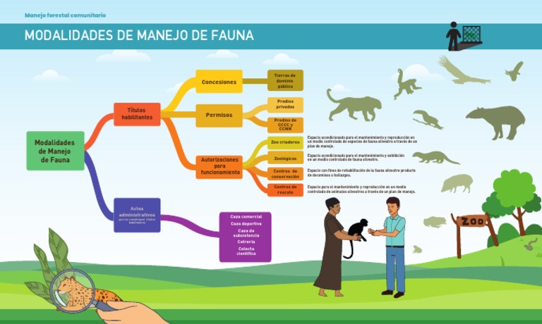 Infografia - MODALIDADES DE MANEJO DE FAUNA | PDF