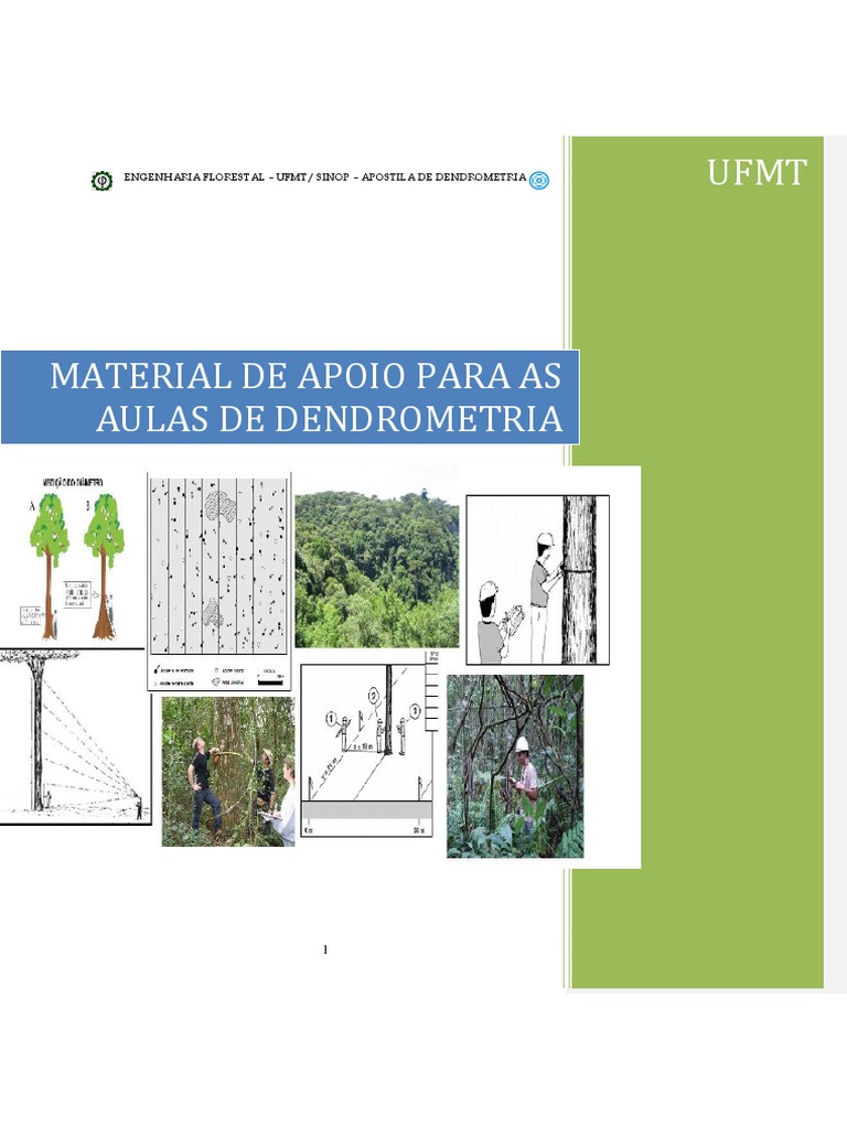 Apostila - Dendrometria | PDF | Árvores | Medição