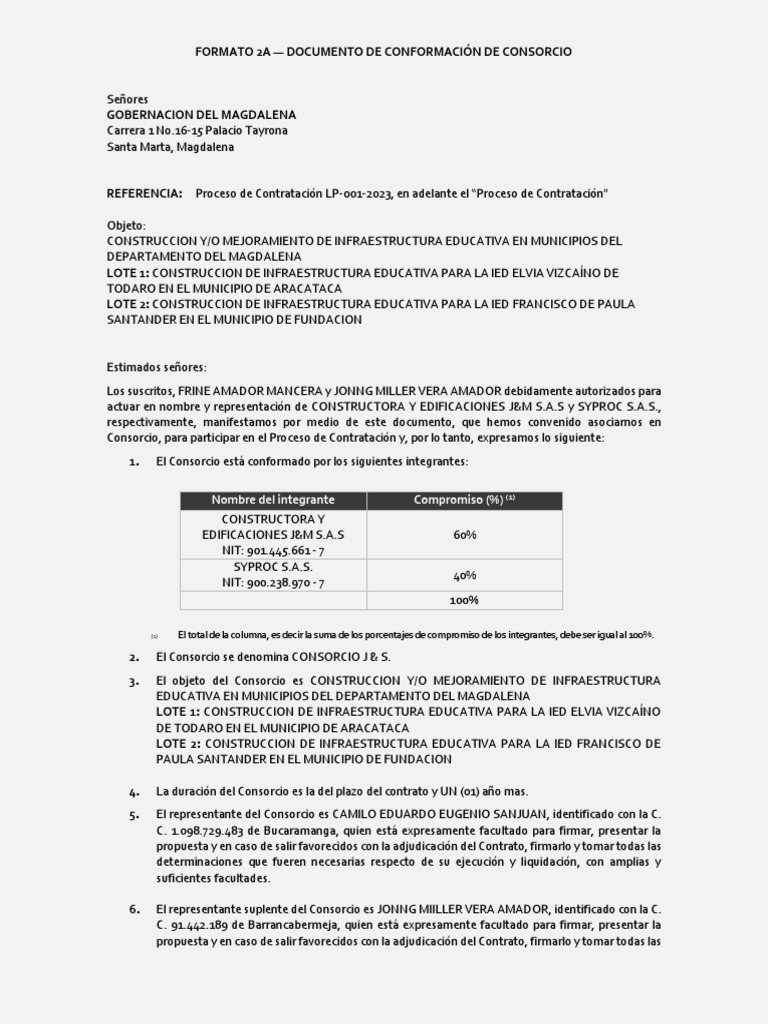 CSC 3 Conformación de Proponente Plural | PDF