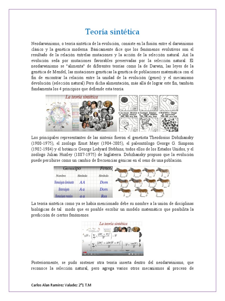 Teoría Sintética | PDF | Evolución | Seleccion natural