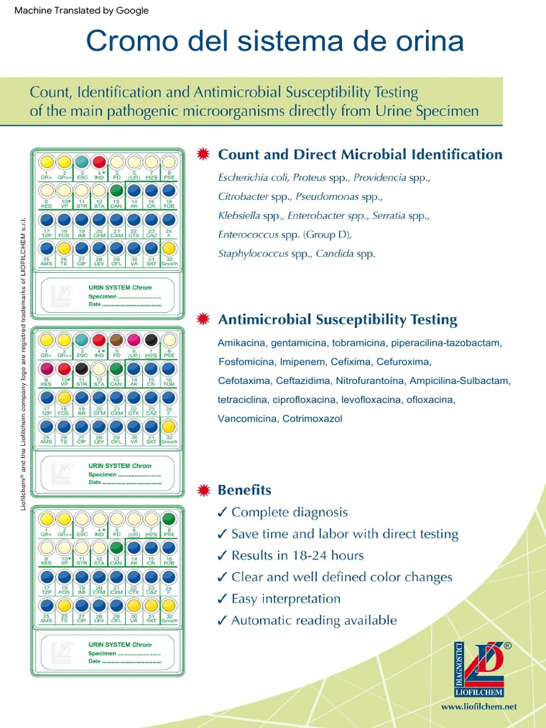 6553366 Urin System Chrom | PDF