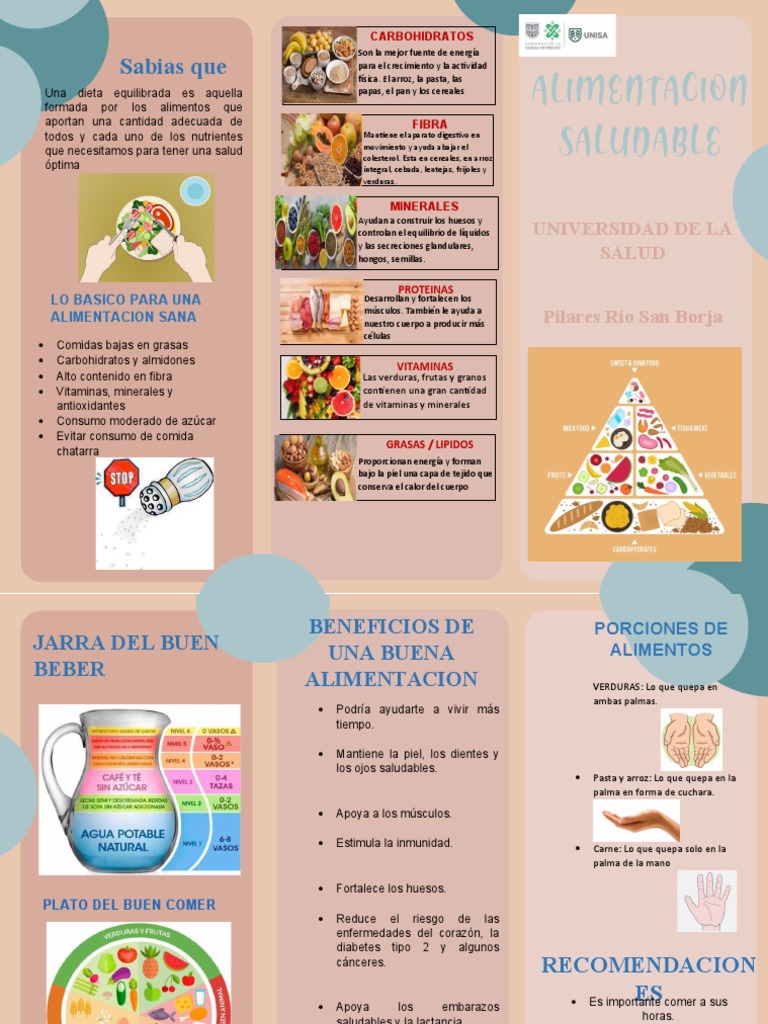 Tríptico Sobre Una Alimentación Saludable | PDF