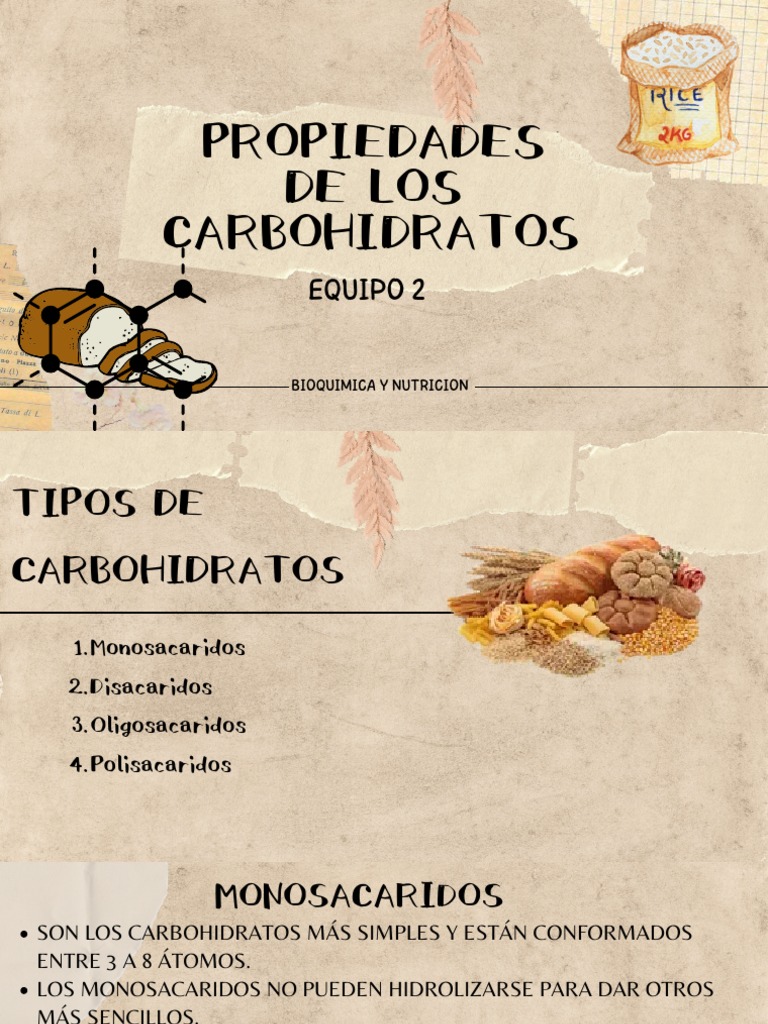 Propiedades de Los Carbohidratos. Equipo 2 | PDF | Carbohidratos | Polisacárido