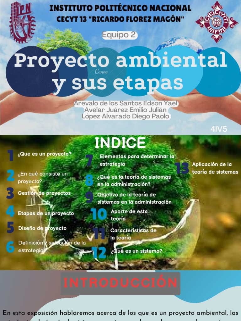 Estrategias y Etapas de Proyectos Ambientales | PDF