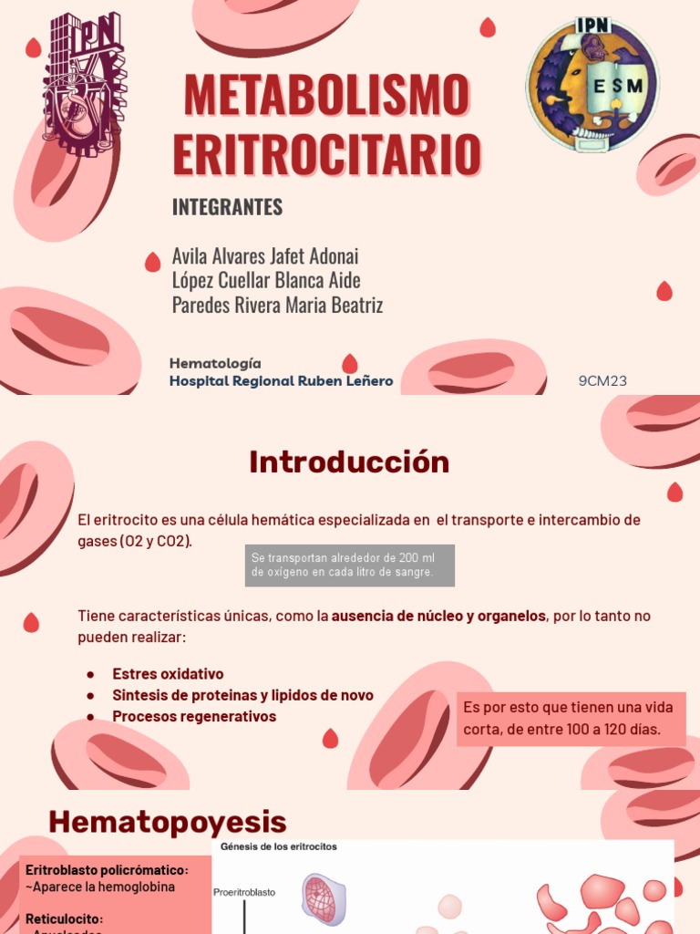 Metabolismo Eritrocitario | PDF | Glóbulo rojo | Biología