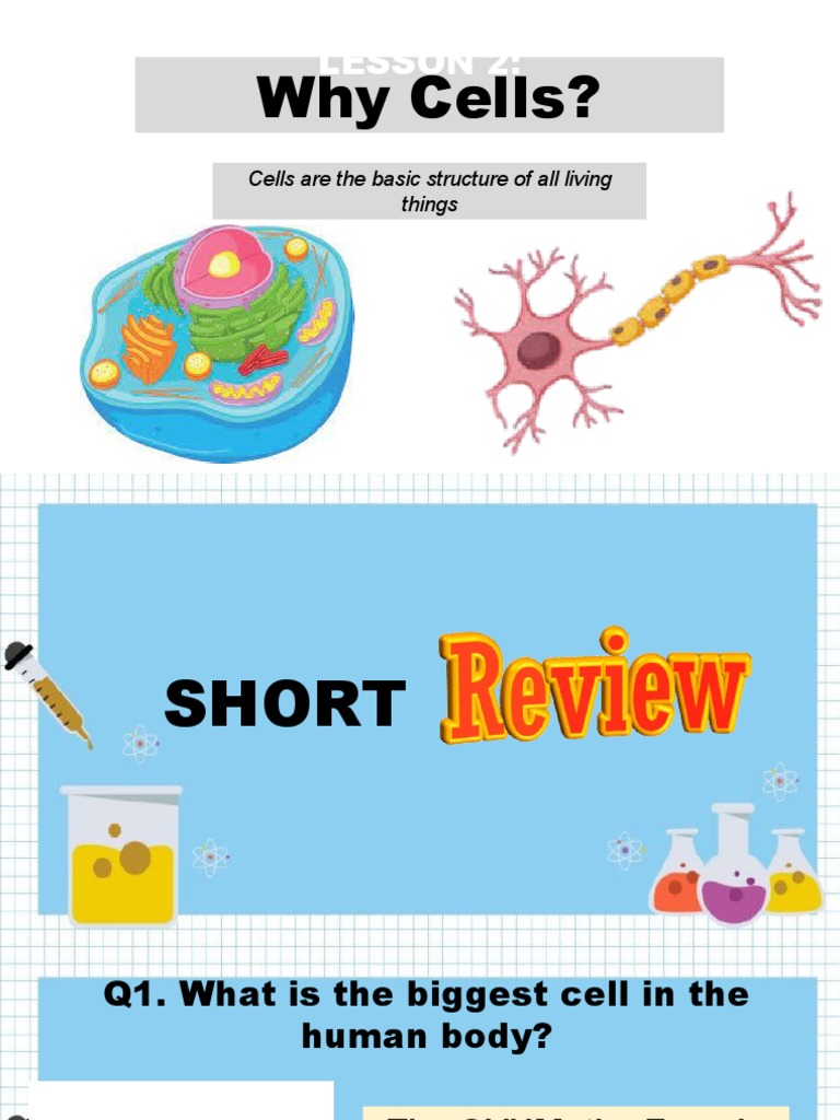 G7 LESSON5 Why-Cells | PDF