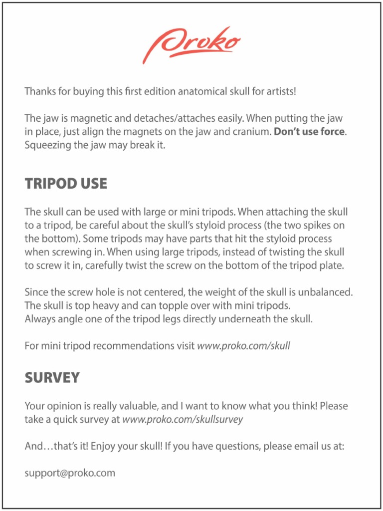 Skull Instructions | PDF