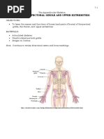 Label (Upper Limb Bone) | PDF | Musculoskeletal System | Human Anatomy