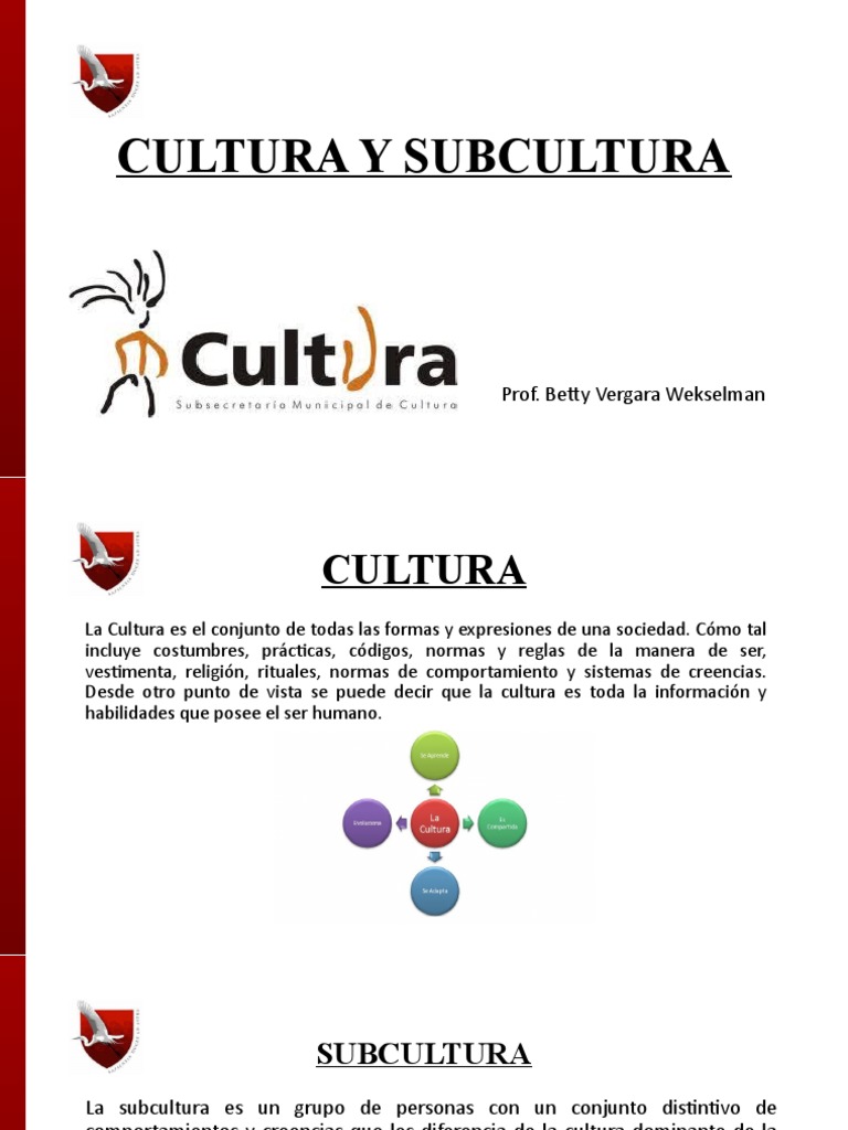 Cultura y Subcultura | PDF | Civilización | Contracultura