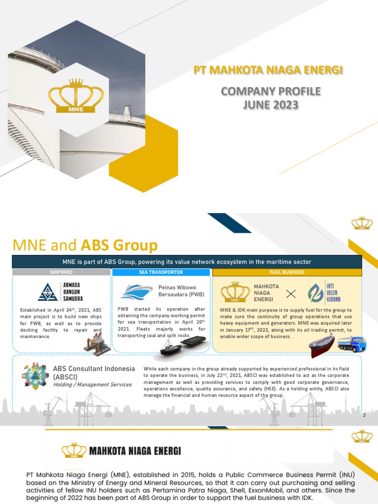 MNE Company Profile 2023 - Upload | PDF | Nature | Economies