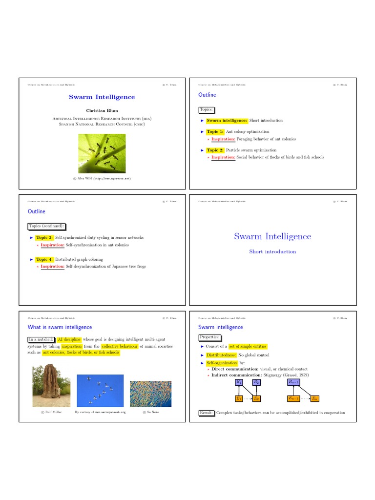 Swarm Intelligence Slides | PDF | Metaheuristic | Applied Mathematics