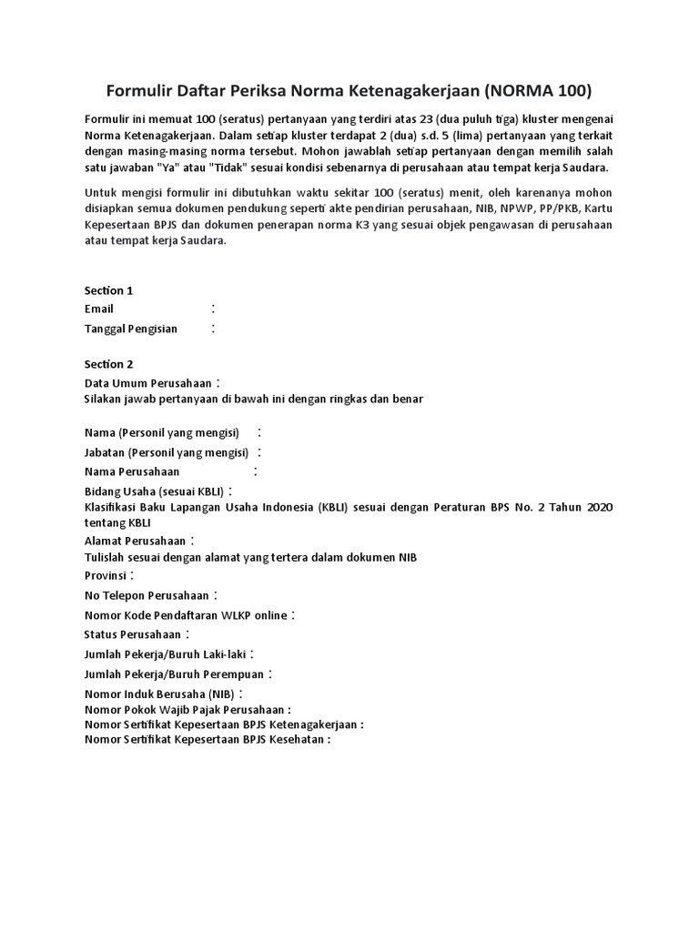 Formulir Pemeriksaan Norma Ketenagakerjaan Secara Mandiri | PDF