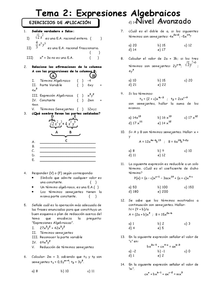 ALGEBRA TEMA 2 NIVEL AVANZADO Expresiones Algebraicas | PDF | Notación ...