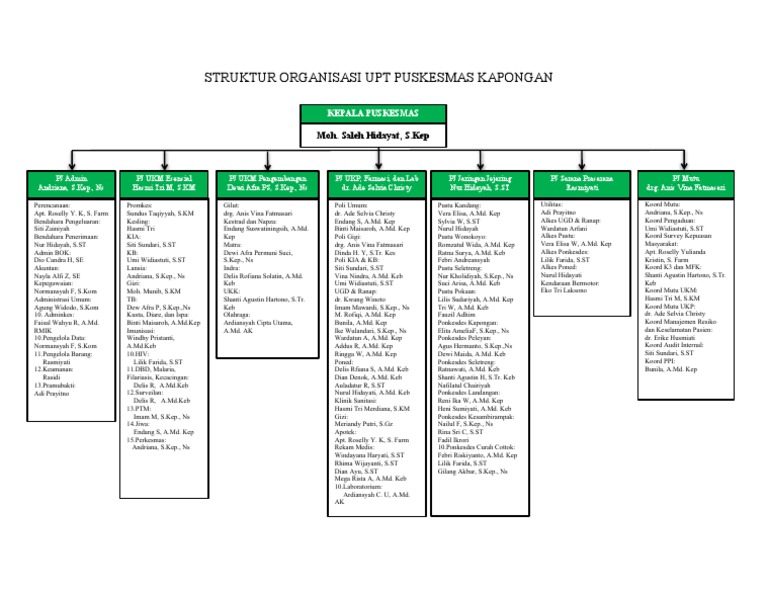 Struktur Organisasi Upt Puskesmas Kapongan | PDF