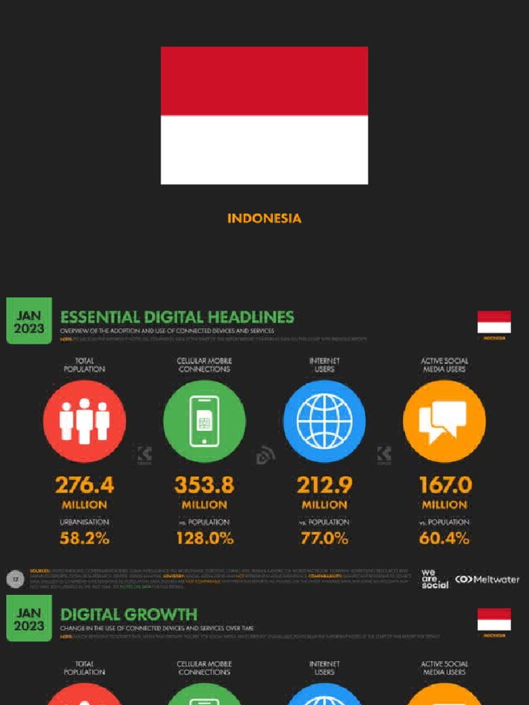 Indonesia 2023 Digital Meltwater | PDF