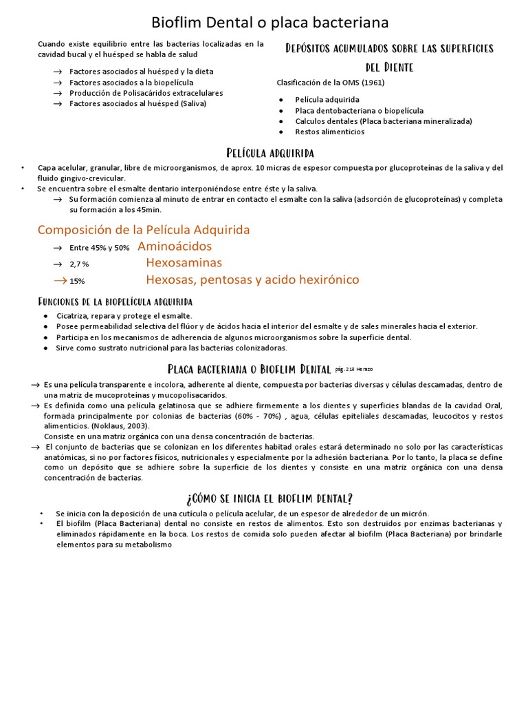 Bioflim Dental o Placa Bacteriana | PDF