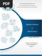 Dermatomas y Miotomas La Inervación Sensitiva Segmentaria | PDF ...