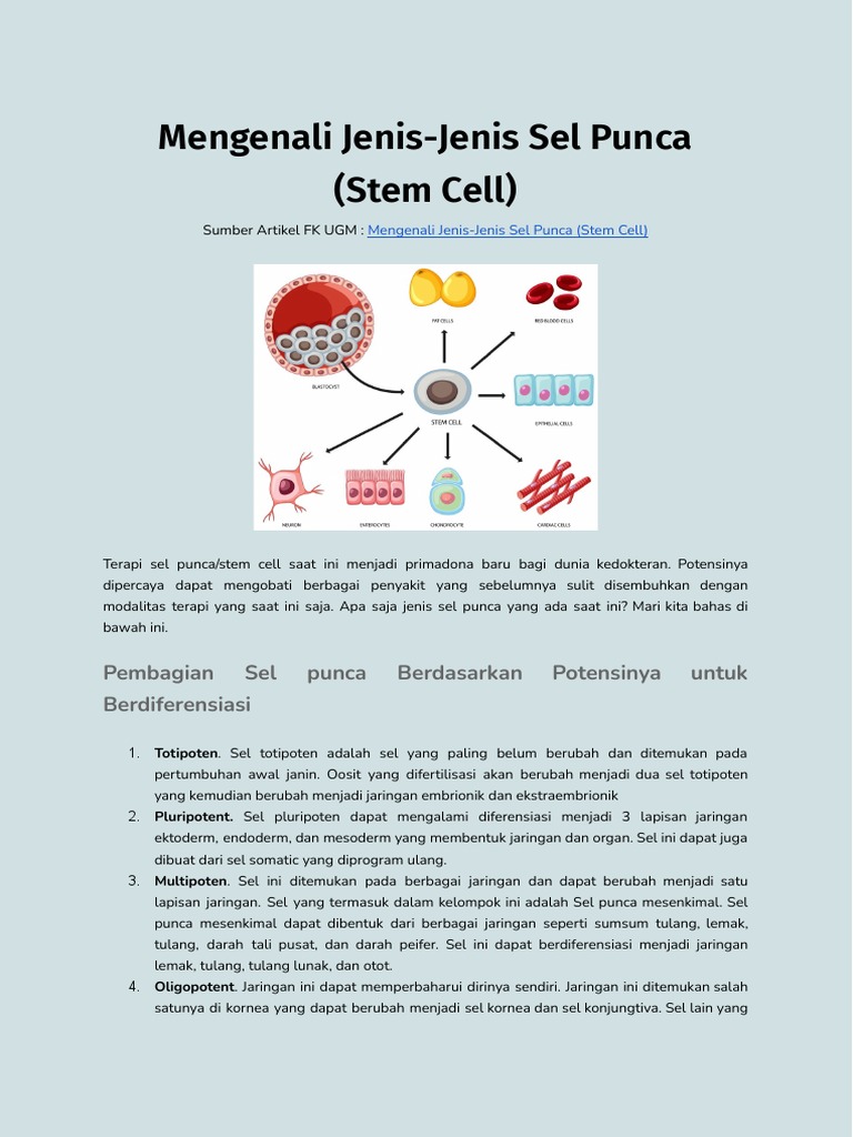 5205 1.-Sel-Punca | PDF