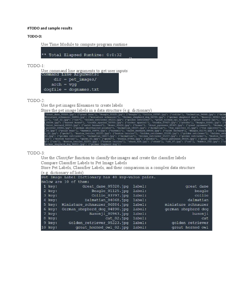 Project-1 TODO and Sample Results | PDF