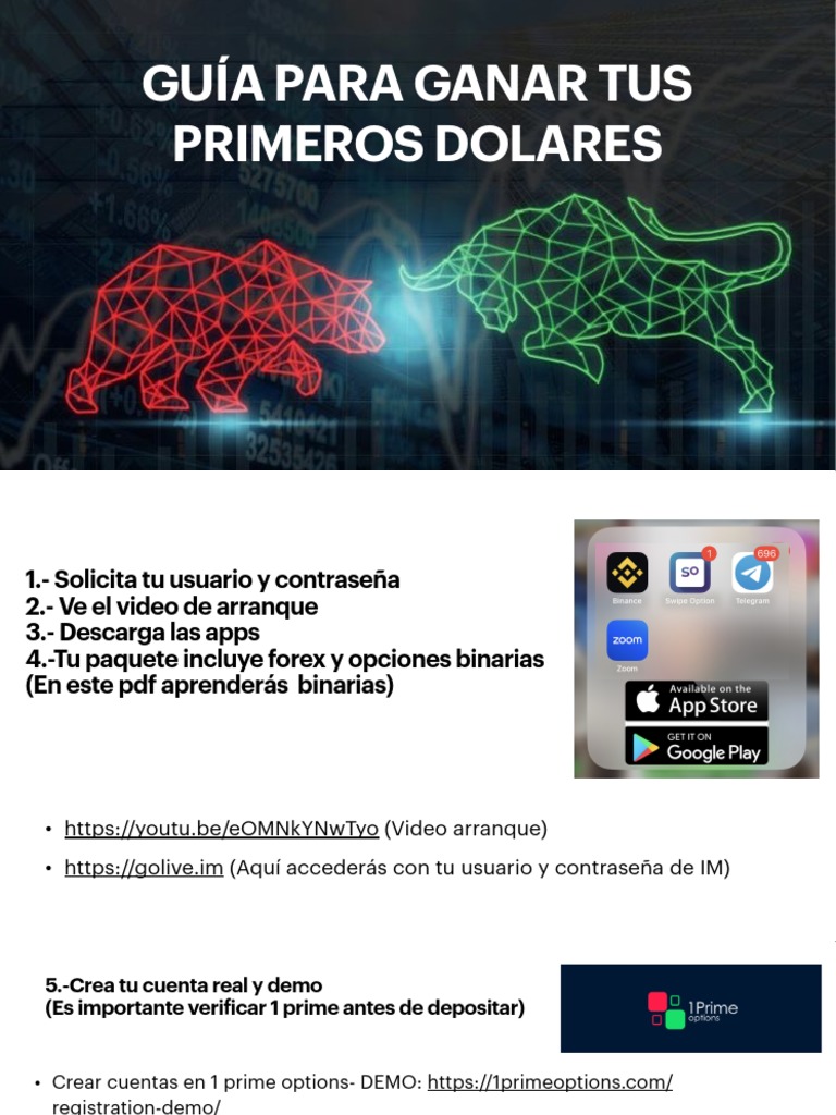 Primeros Pasos | PDF