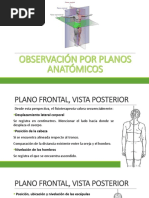 Ángulo Cérvico-Diafisario del Fémur | PDF