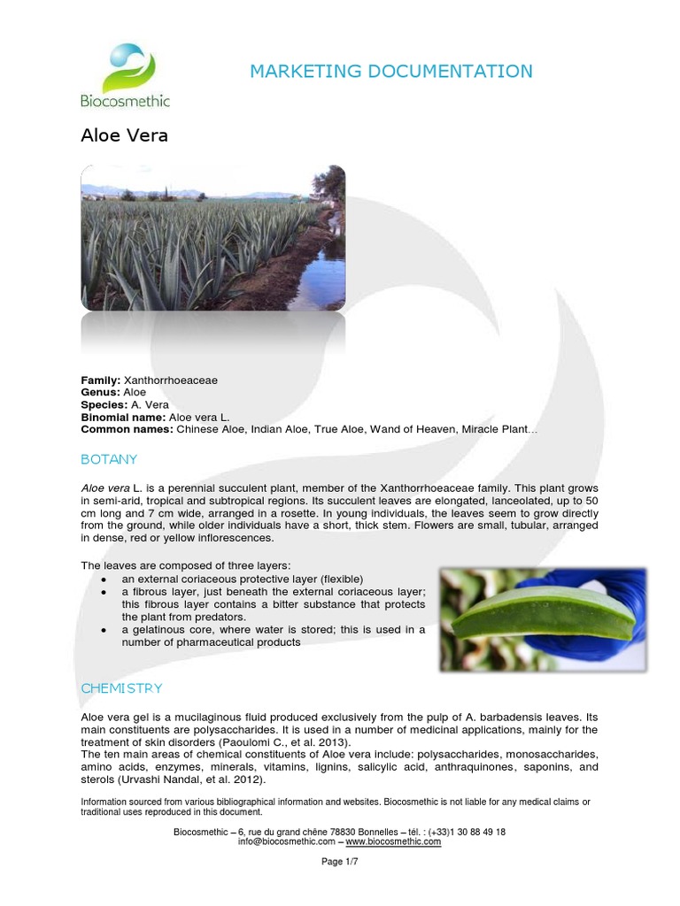 Marketing Documentation - Aloe Vera | PDF | Inflammation | Healing