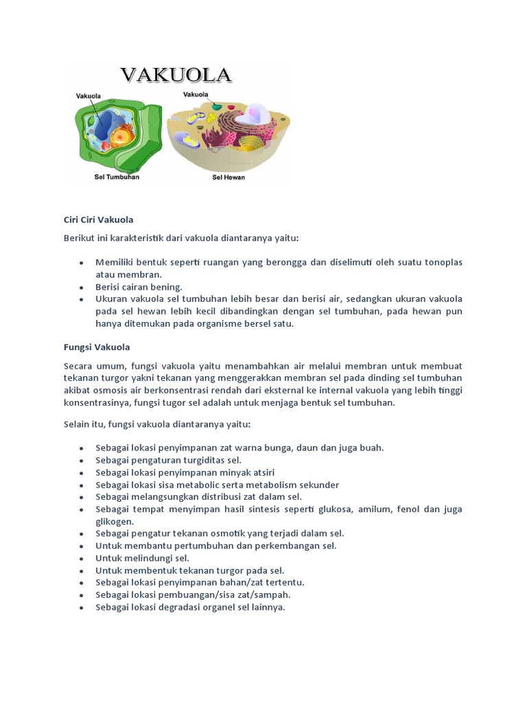 Ciri Ciri Vakuola | PDF