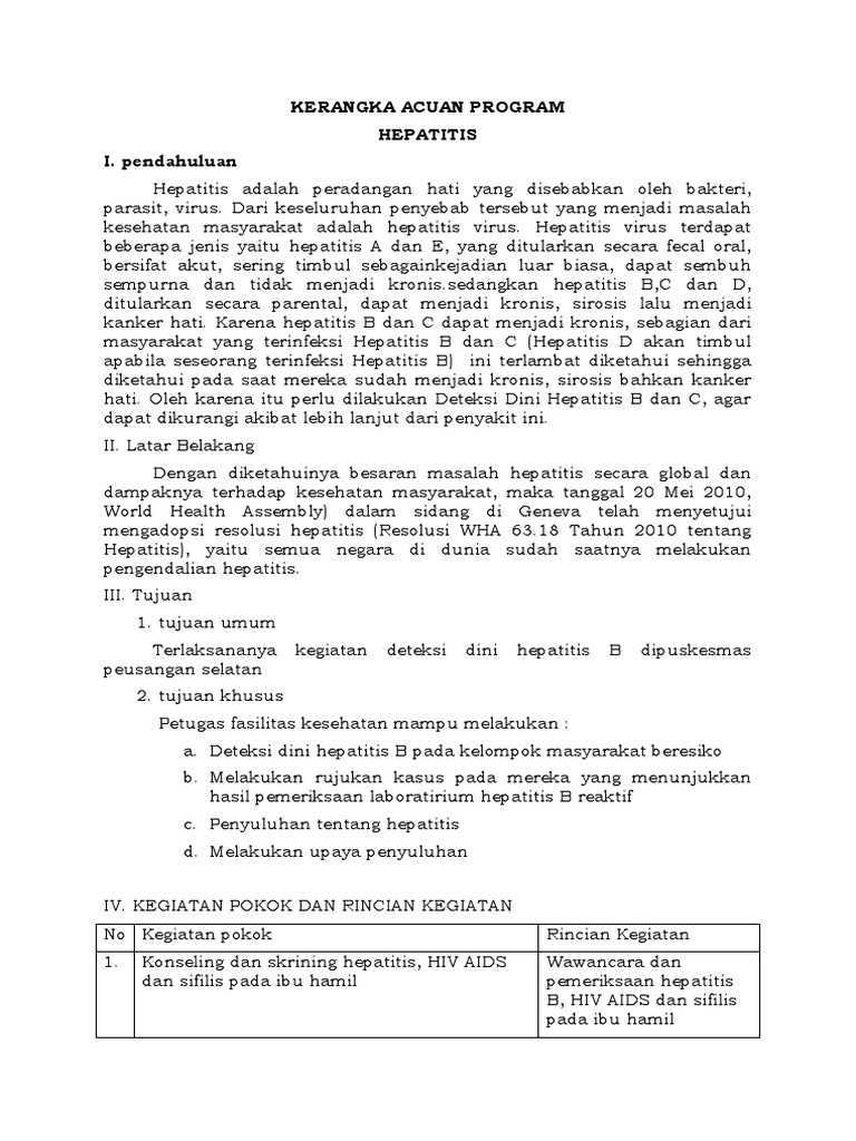 KERANGKA ACUAN PROGRAM Hepatitis | PDF