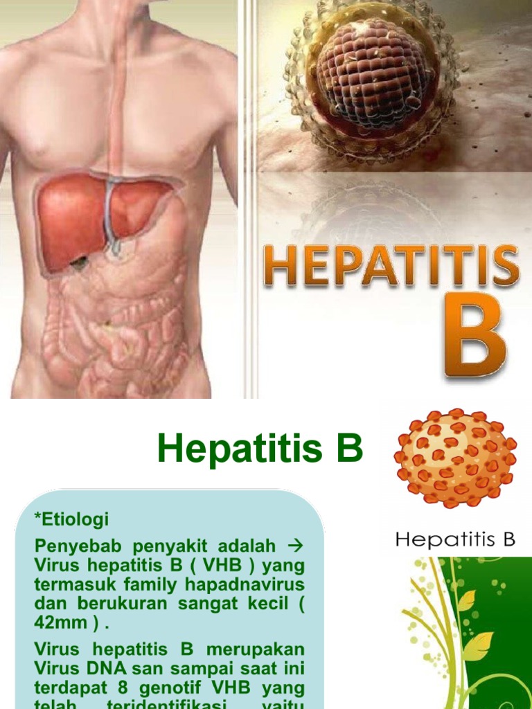 Hepatitis B | PDF