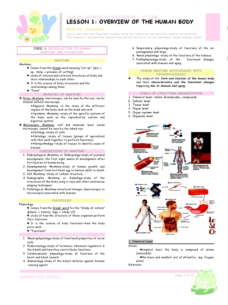 Jaycommss Anatomy and Physiology With Pathophysiology | PDF | Human ...