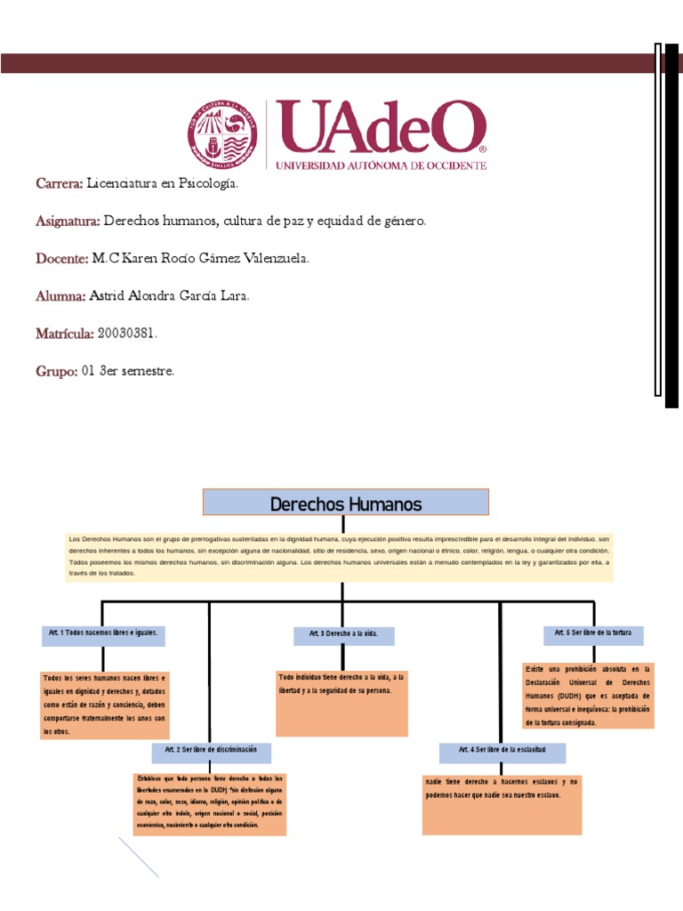 Mapa Conceptual Derechos Humanos | PDF | Derechos humanos | Derechos